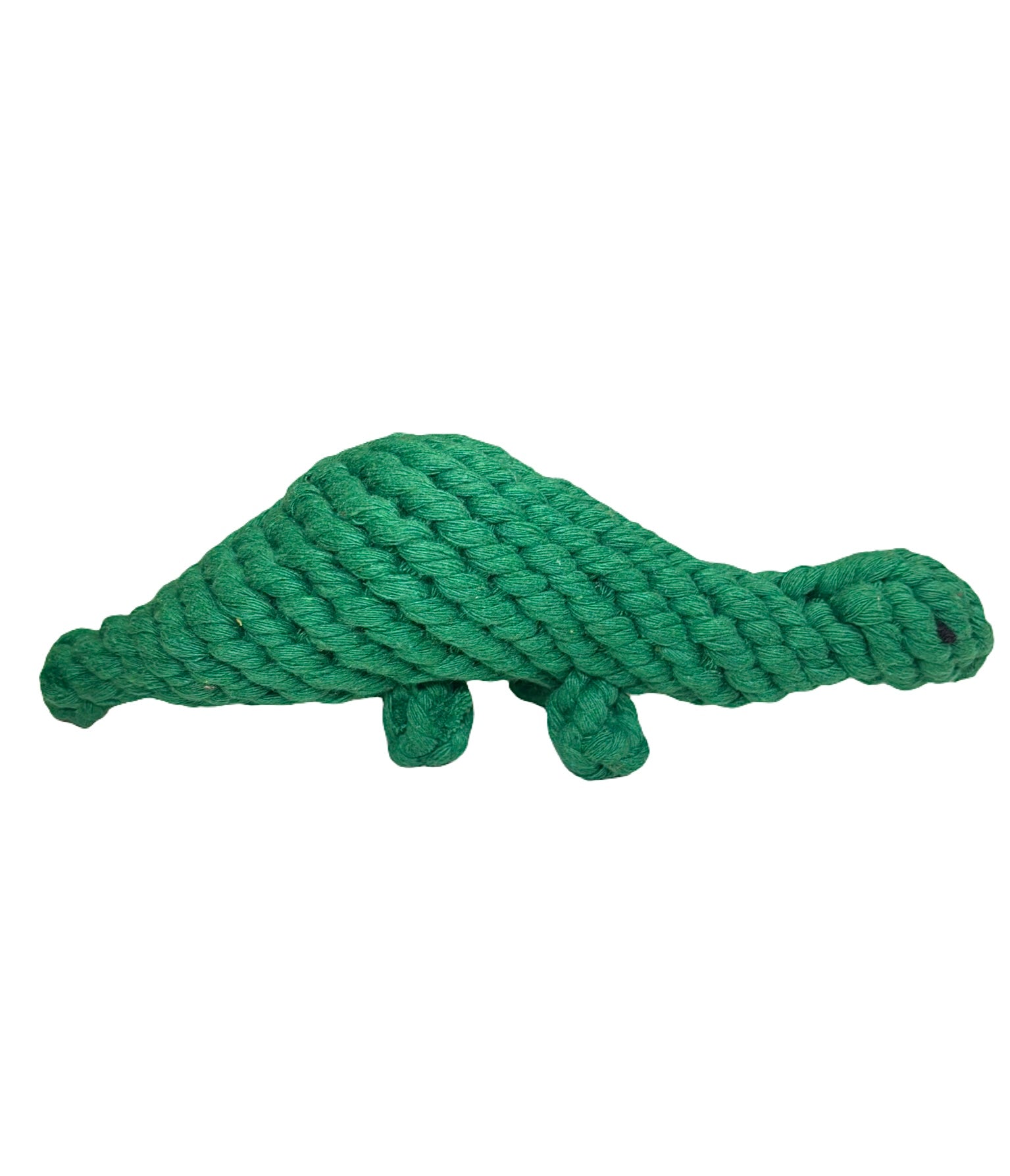 Dinosaur Chew Toy – PAWPURRFECTSG